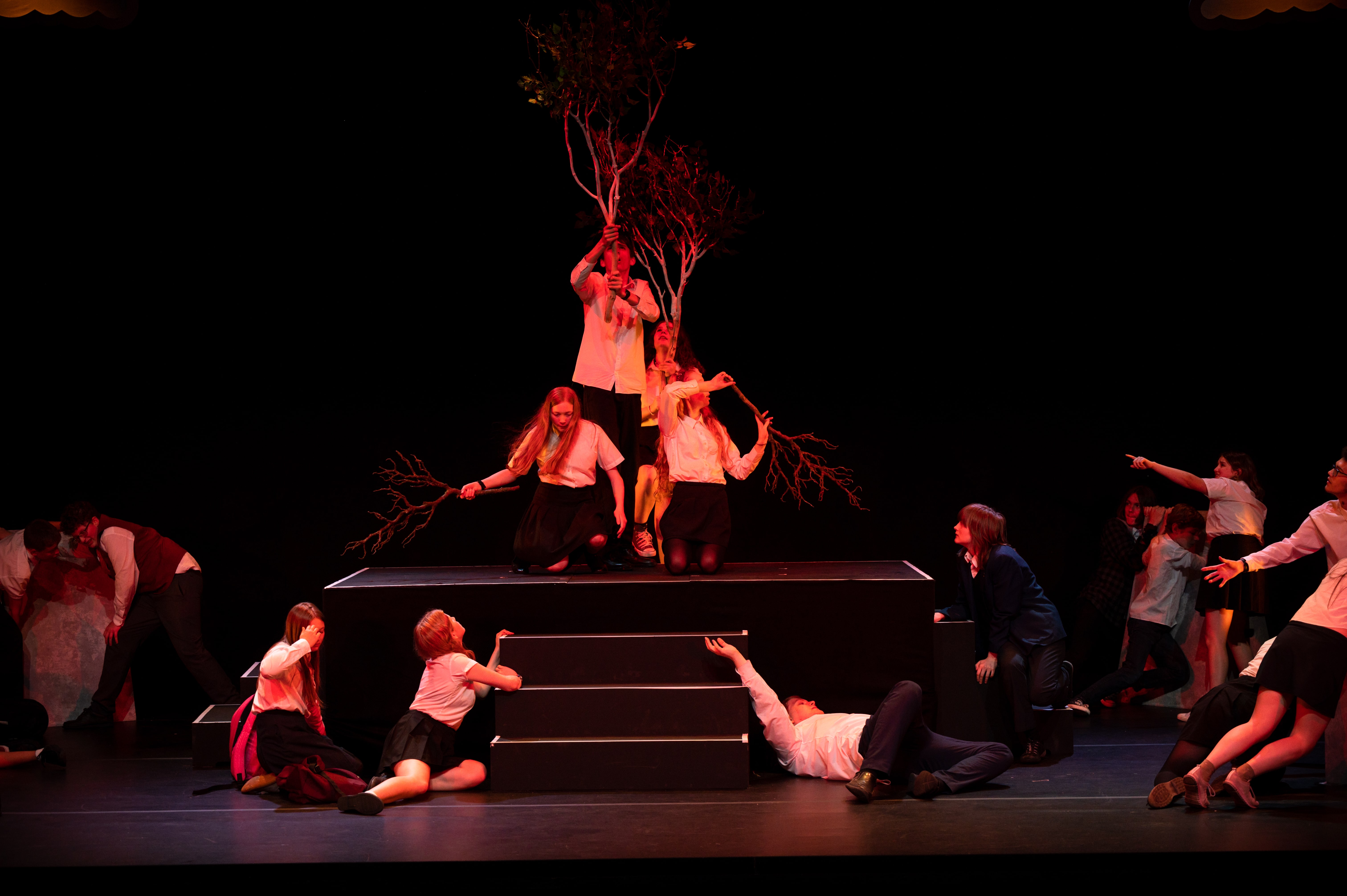 Tuesday – Alison Carr